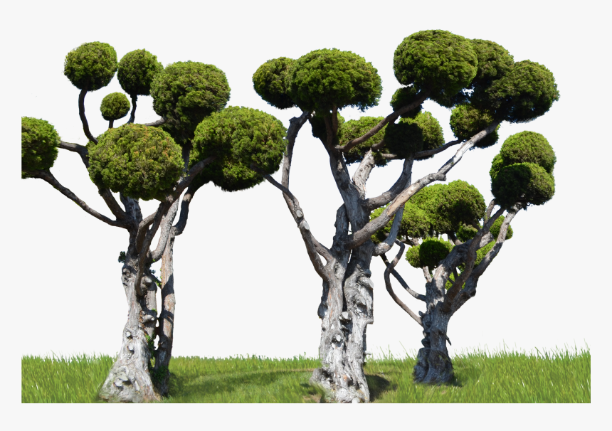 Round Tree Forest Png Stock In Landscape 0007 By Annamae22 - Forest Pic ...