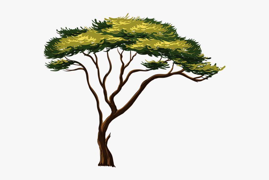 Africa Tree Png - African Tree Clipart, Transparent Png , Transparent ...