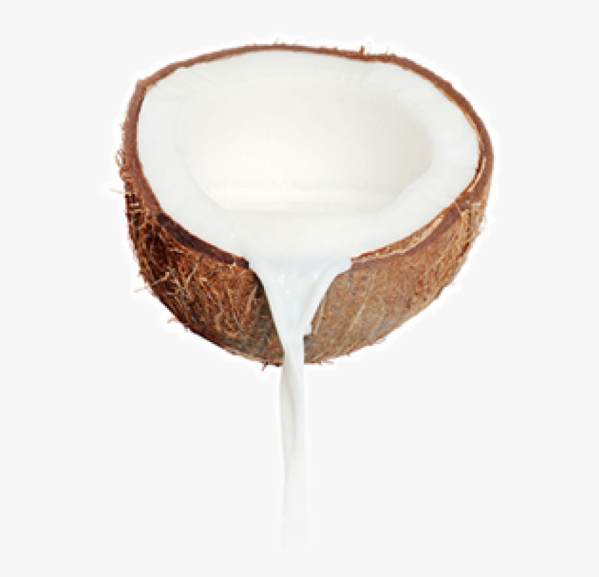 Coconut Png Free Download - Coconut Milk No Background, Transparent Png ...