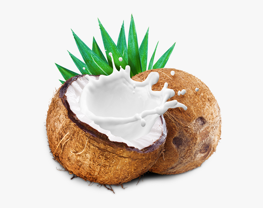 Transparent Milk Splash Png - Coconut Milk Splash Png, Png Download ...