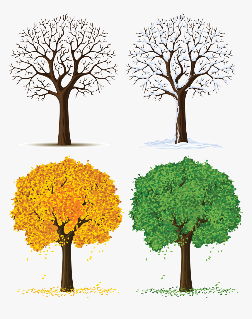 Plants In Different Seasons, HD Png Download , Transparent Png Image ...