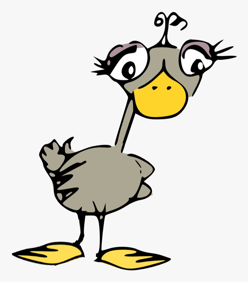 Scrap Bird Png Free - Silly Bird Clip Art, Transparent Png ...