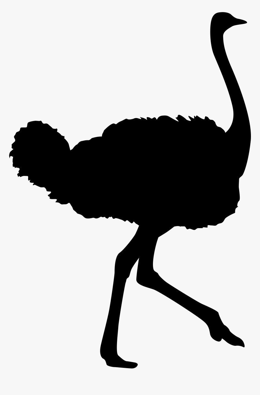 Vector Graphics Animal Silhouettes Clip Art Illustration - Ostrich ...