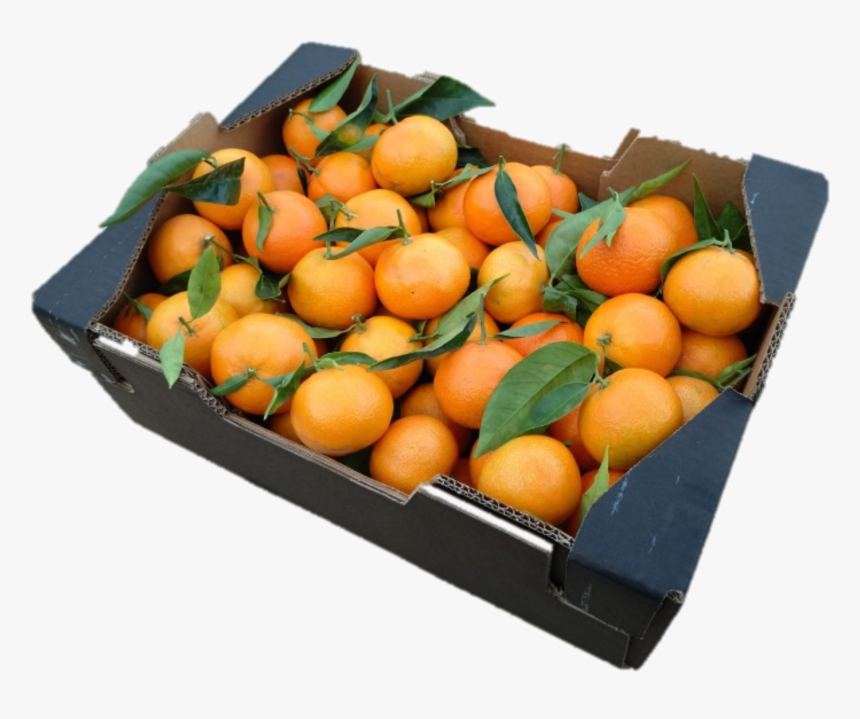 Rangpur, HD Png Download , Transparent Png Image - PNGitem