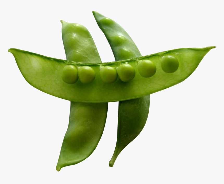 Snow Peas Png Image - Snow Pea Png, Transparent Png , Transparent Png ...