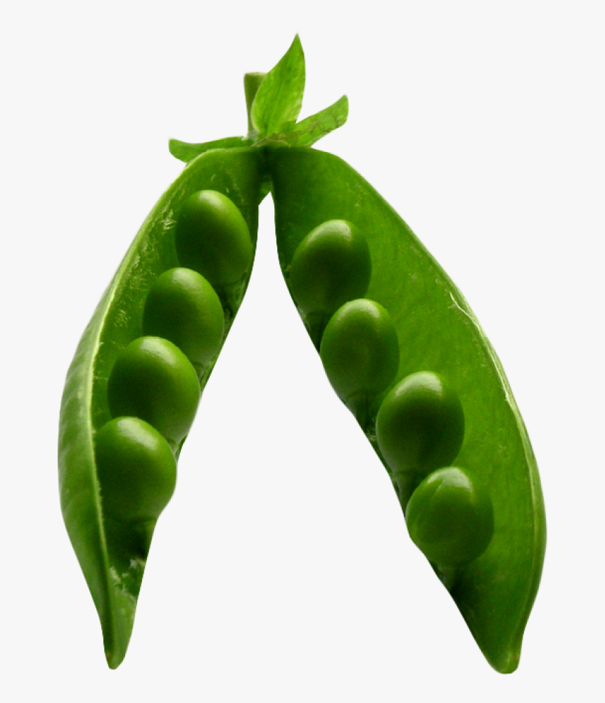 Pea Png Image - Pea, Transparent Png , Transparent Png Image - PNGitem