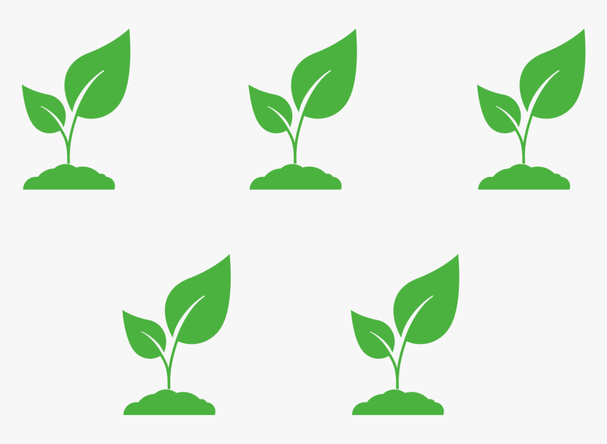 Triangular Planting Pattern, HD Png Download , Transparent Png Image ...