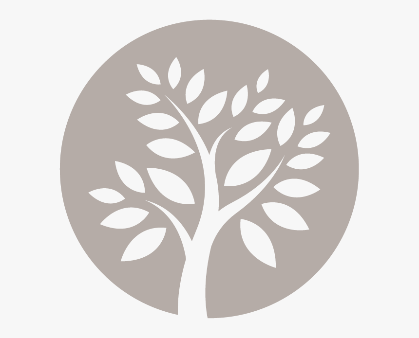 Birch Tree Care Logo-03 - Vector Graphics, HD Png Download ...