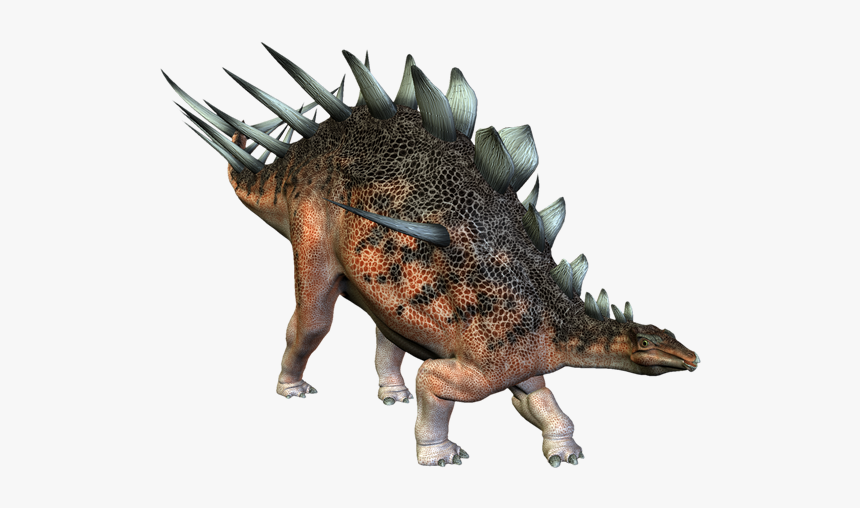 Dinosaur Kentrosaurus Stock Photography - Kentrosaurus Png, Transparent ...