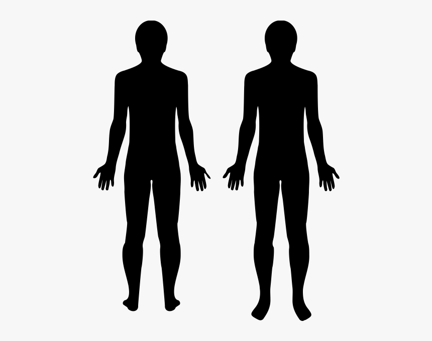 Body - Standing, HD Png Download , Transparent Png Image - PNGitem