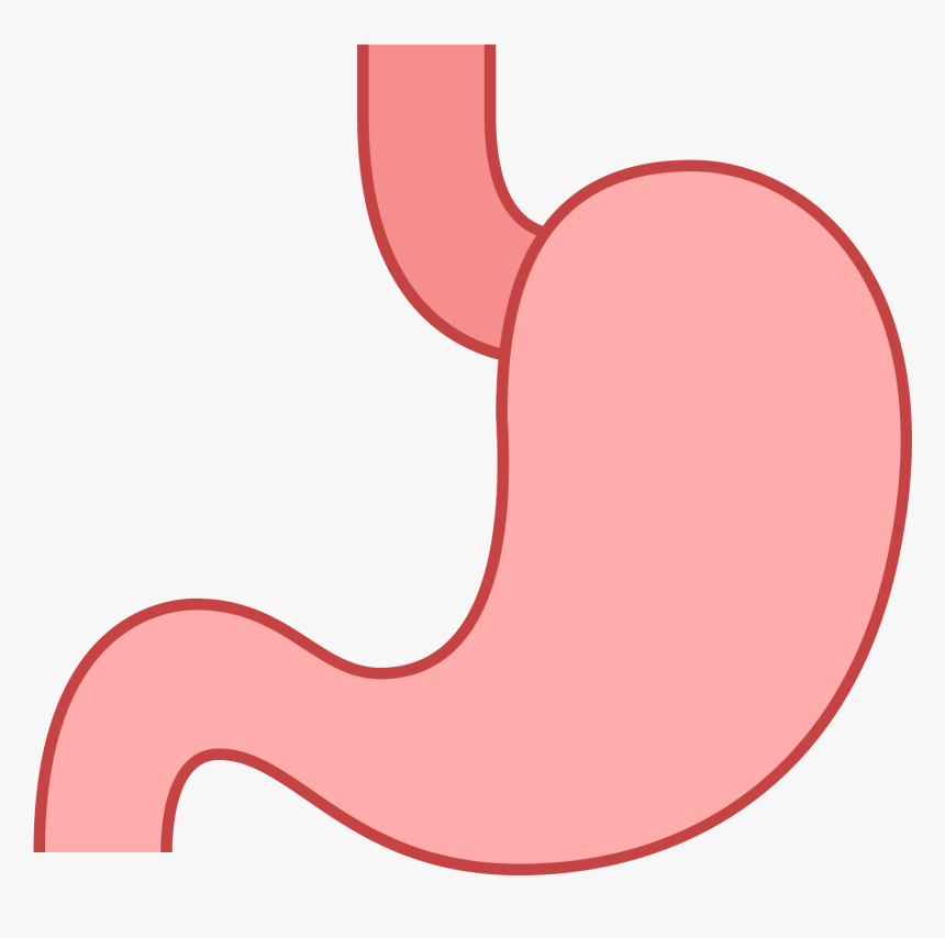 Transparent Stomach Clipart - Stomach Cancer Icon, HD Png Download ...