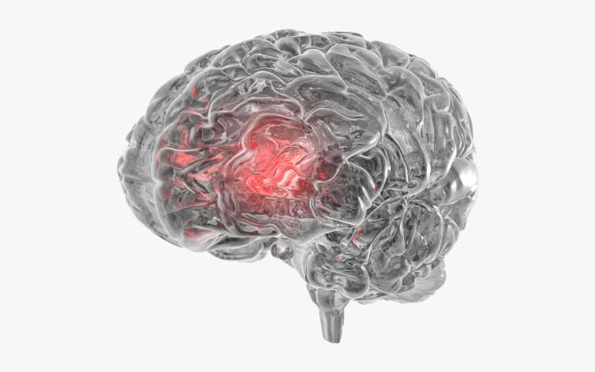 Brain2 - Effects Of Ice On The Brain, HD Png Download , Transparent Png ...