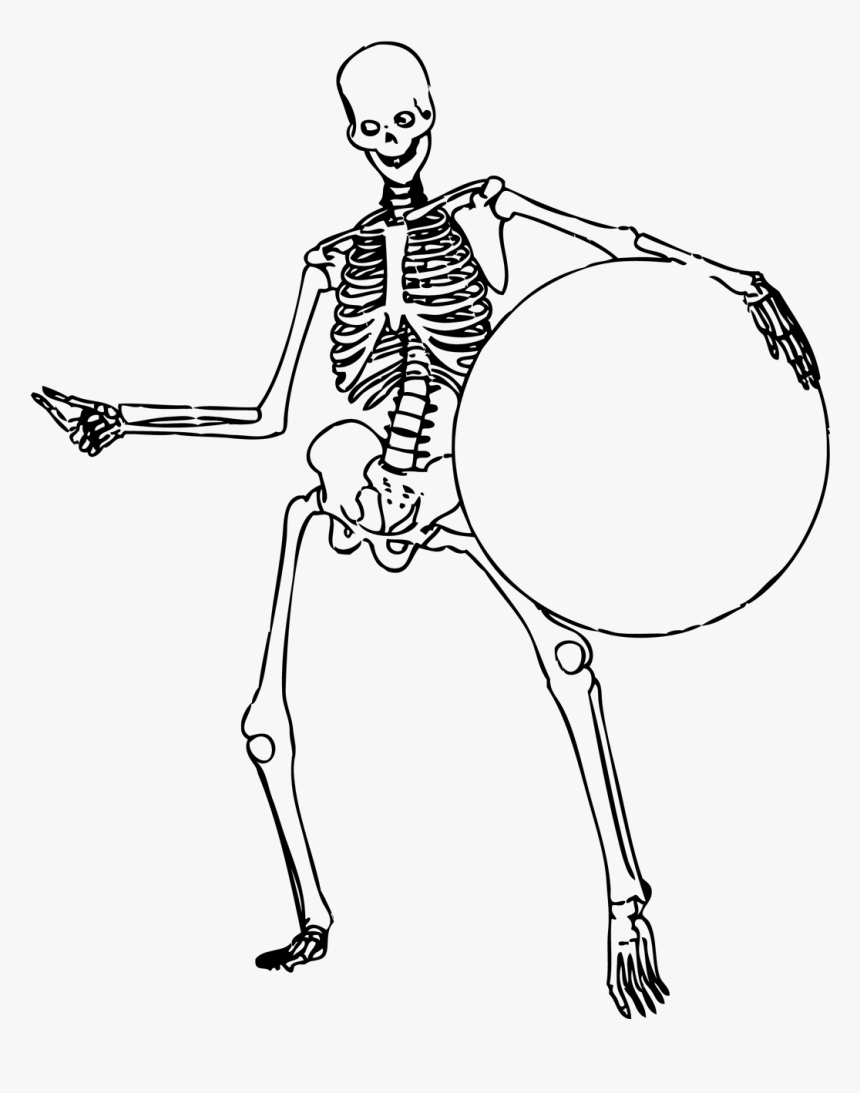 Medical Body Outline At - Skeleton Transparent, HD Png Download ...