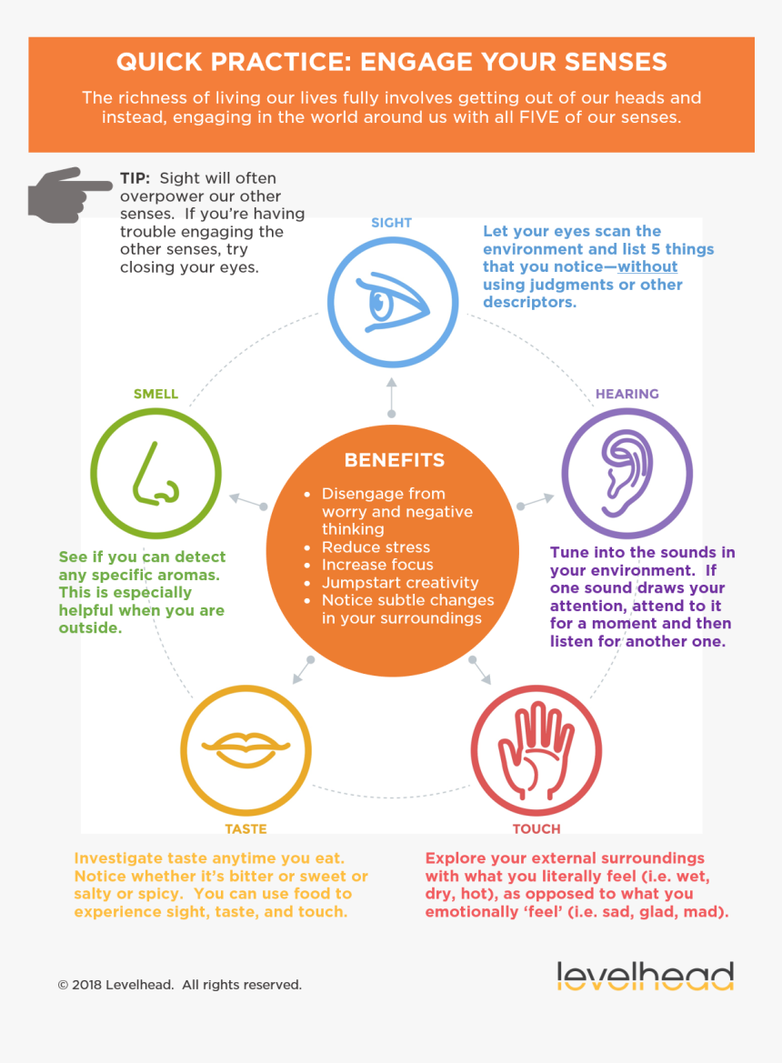 Mad Eyes Png - Things You Can Do With Your Senses, Transparent Png ...