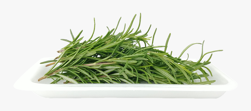 Sweet Grass, HD Png Download , Transparent Png Image - PNGitem