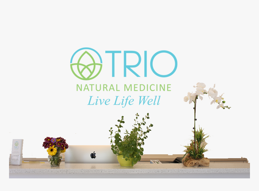 Trio Natural, HD Png Download , Transparent Png Image - PNGitem