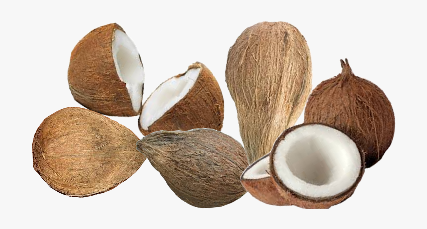 Coconut - Coconut Copra Png, Transparent Png , Transparent Png Image ...