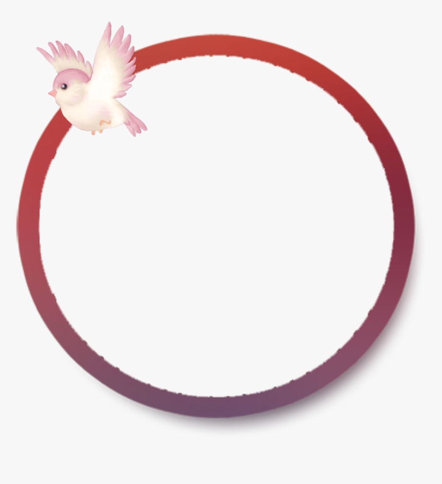 #mq #pink #bird #circle #frame #frames #border #borders - Circle, HD ...