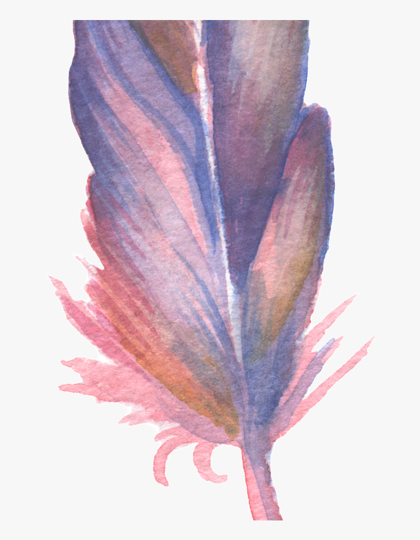 Feathers Png, Transparent Png , Transparent Png Image - PNGitem
