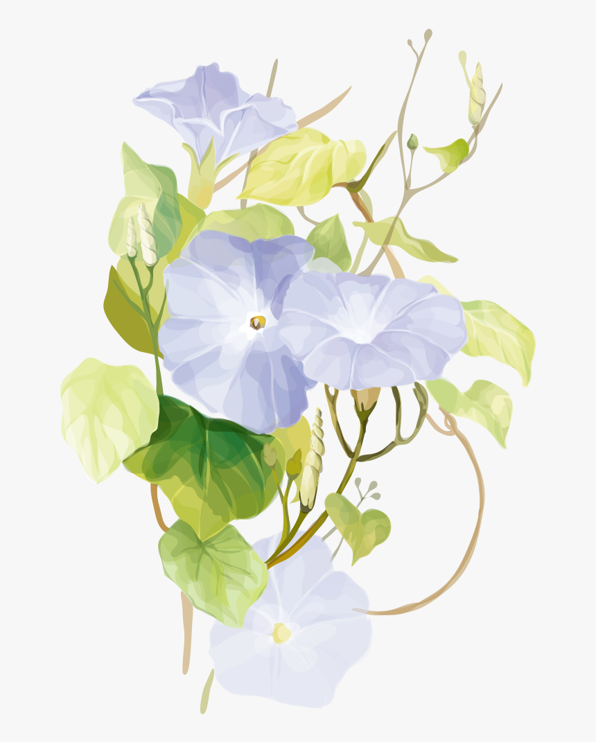 Flowering Vine Prints, HD Png Download , Transparent Png Image - PNGitem