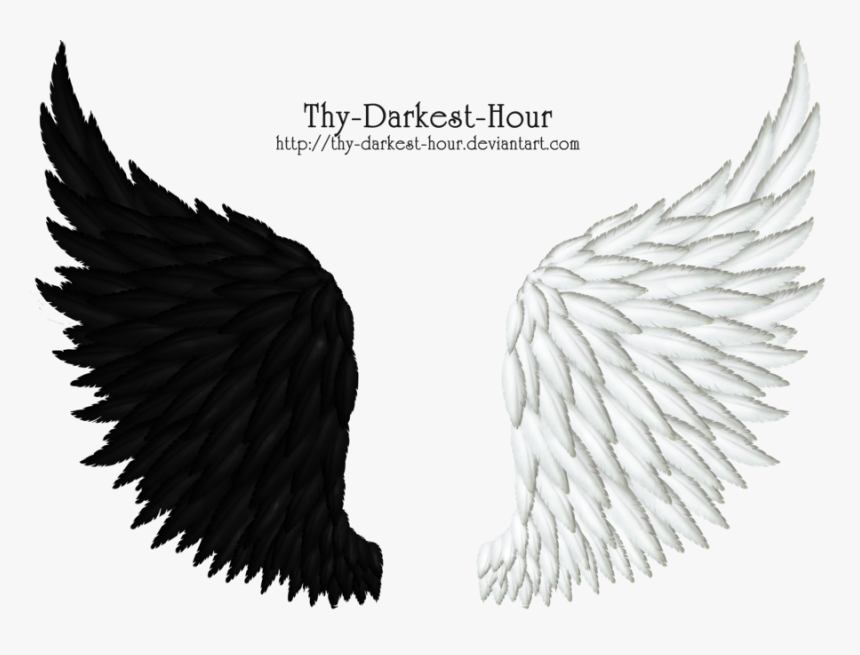 White And Black Angel Wings