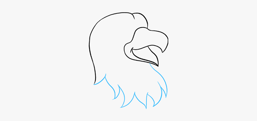 How To Draw Cartoon Hawk - Sketch, HD Png Download , Transparent Png ...