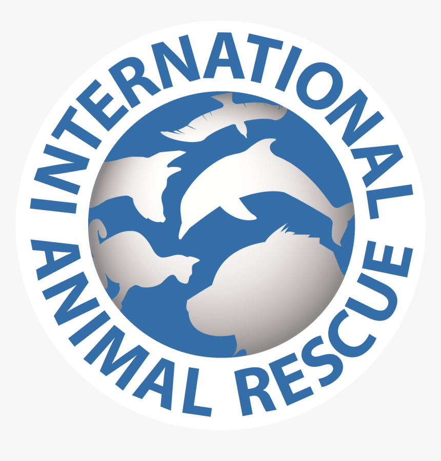 International Animal Rescue, HD Png Download , Transparent Png Image ...