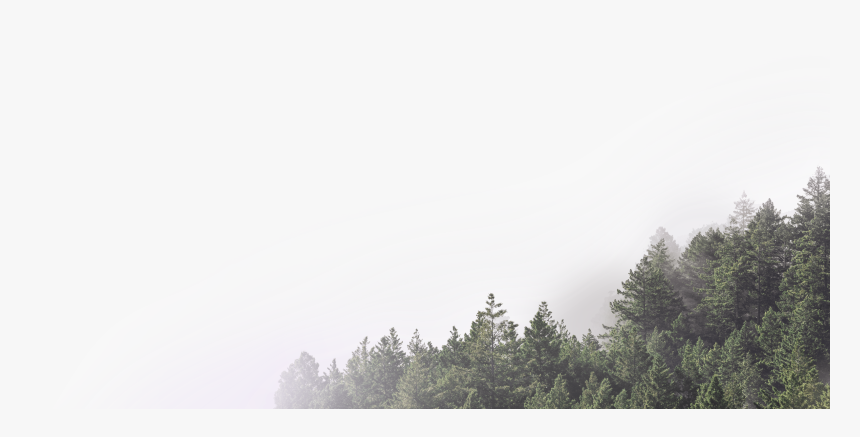Forest Transparent 8 - Forest Transparent Background, HD Png Download ...