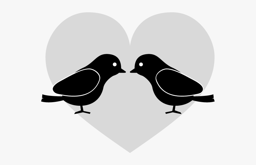 Pictogram Bird, HD Png Download , Transparent Png Image - PNGitem