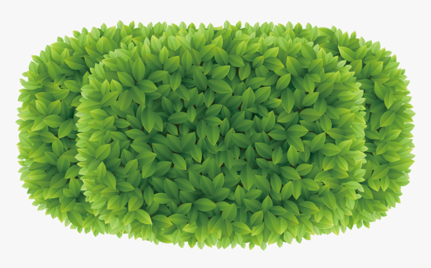 Trees Plan View Png - Graphics, Transparent Png , Transparent Png Image ...