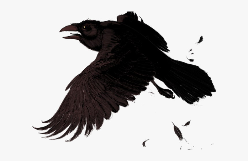 Flying Raven Wallpaper