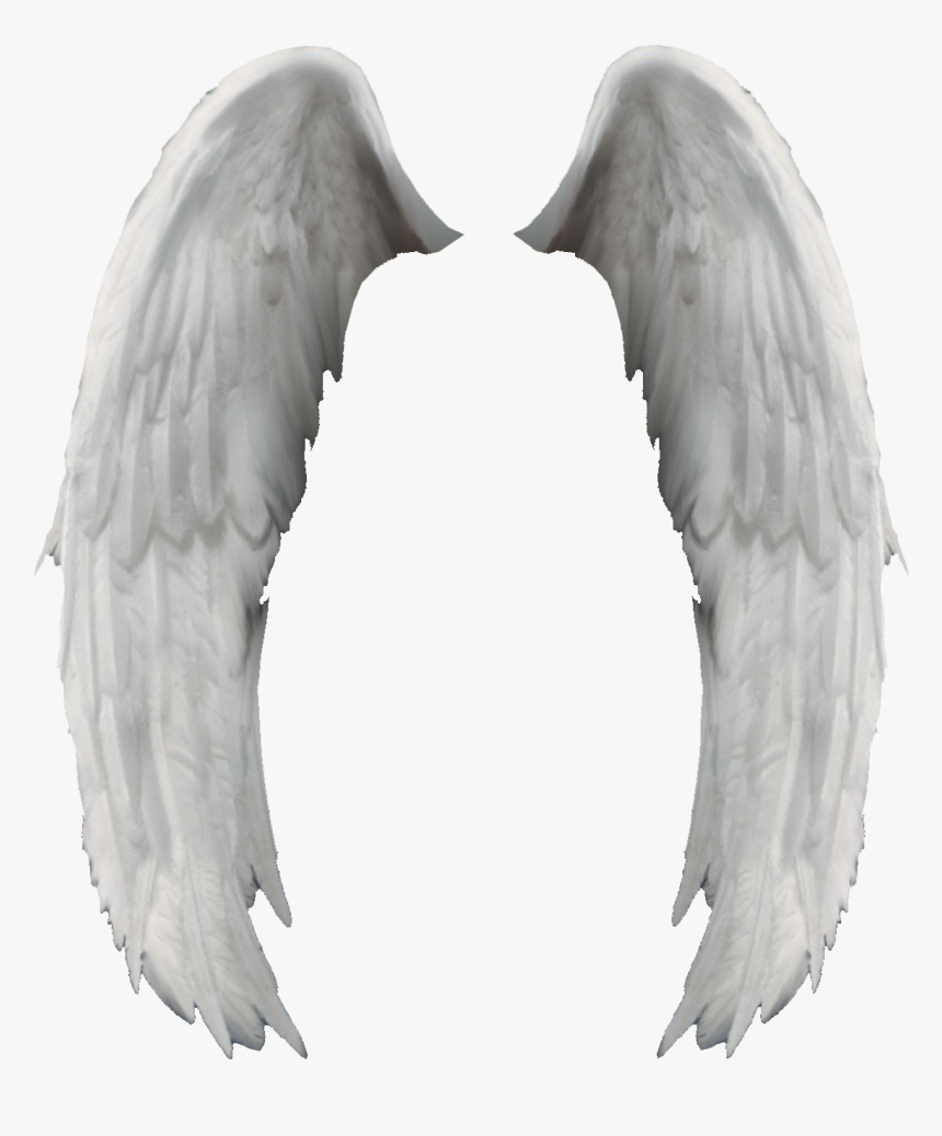 Search Results For “angel Wings Png” Calendar - Angel Wings ...