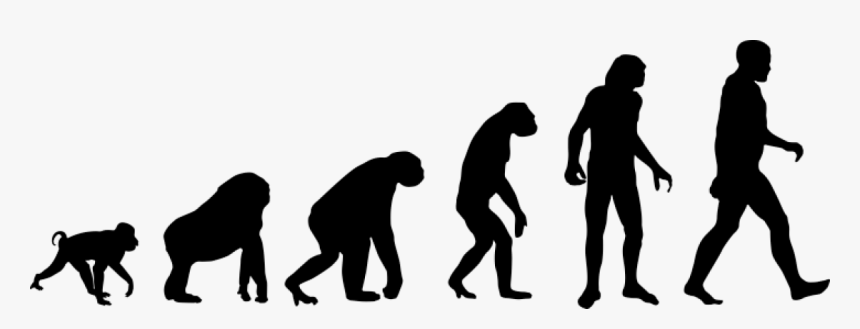 Clipart Evolution Of Man Timeline