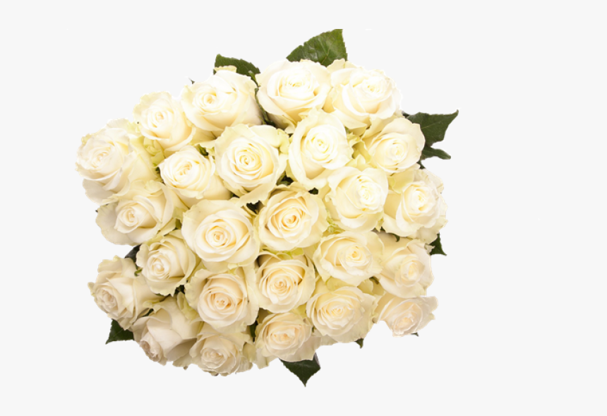 Bunch Of White Rose, HD Png Download , Transparent Png Image - PNGitem