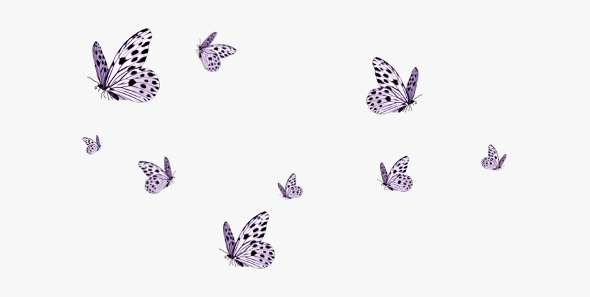 Butterfly Tumblr Ftestickers Sticker - Pink Flying Butterfly Png ...