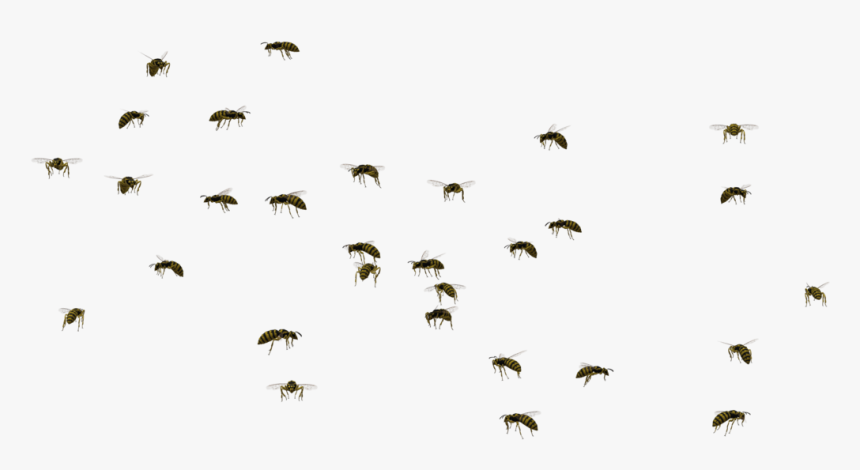 Transparent Bee Swarm, HD Png Download , Transparent Png Image - PNGitem