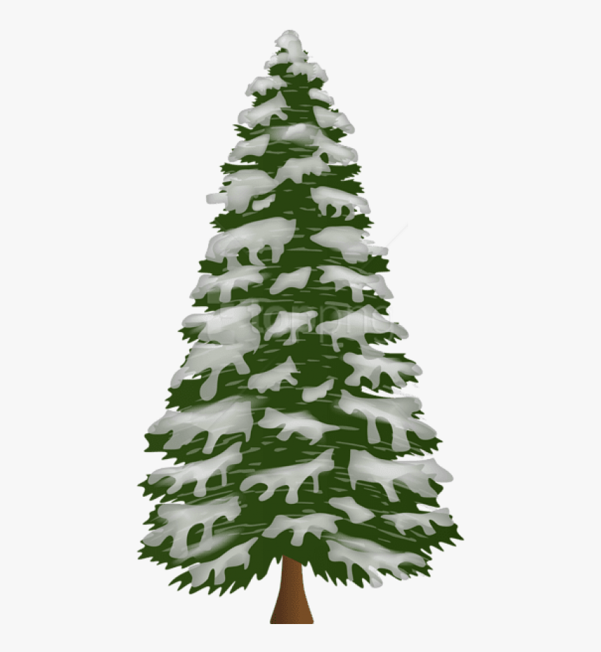 Free Png Pine Tree With Snow Png Png - Snow Pine Tree Png, Transparent ...