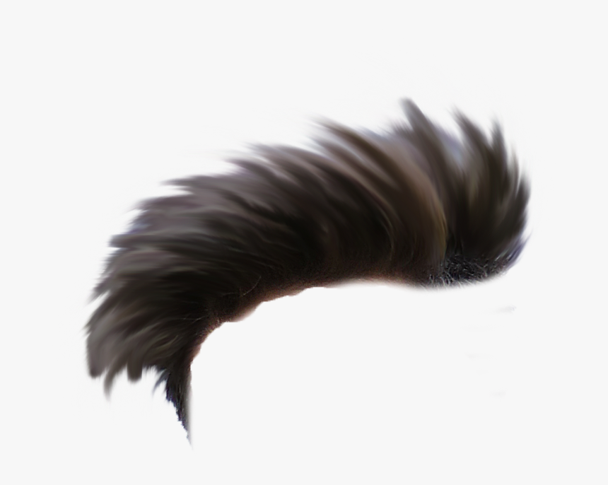 Picture - Man Hair Png Download, Transparent Png , Transparent Png ...