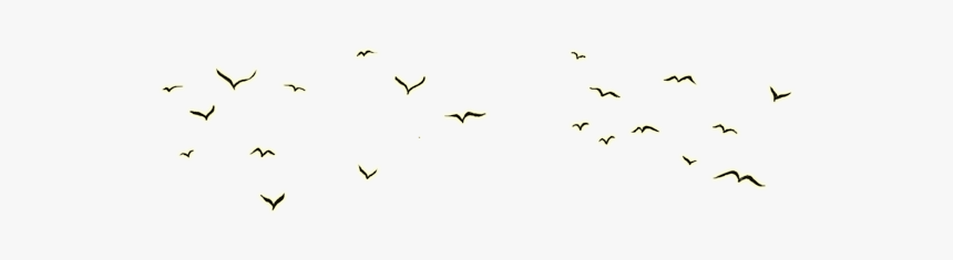 Flock, HD Png Download , Transparent Png Image - PNGitem