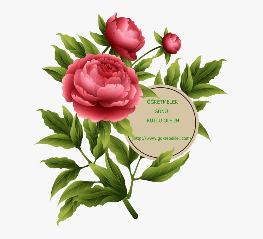 Vector Graphics, HD Png Download , Transparent Png Image - PNGitem