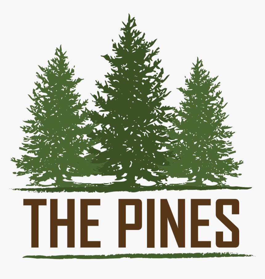 Three Stones International, HD Png Download , Transparent Png Image ...