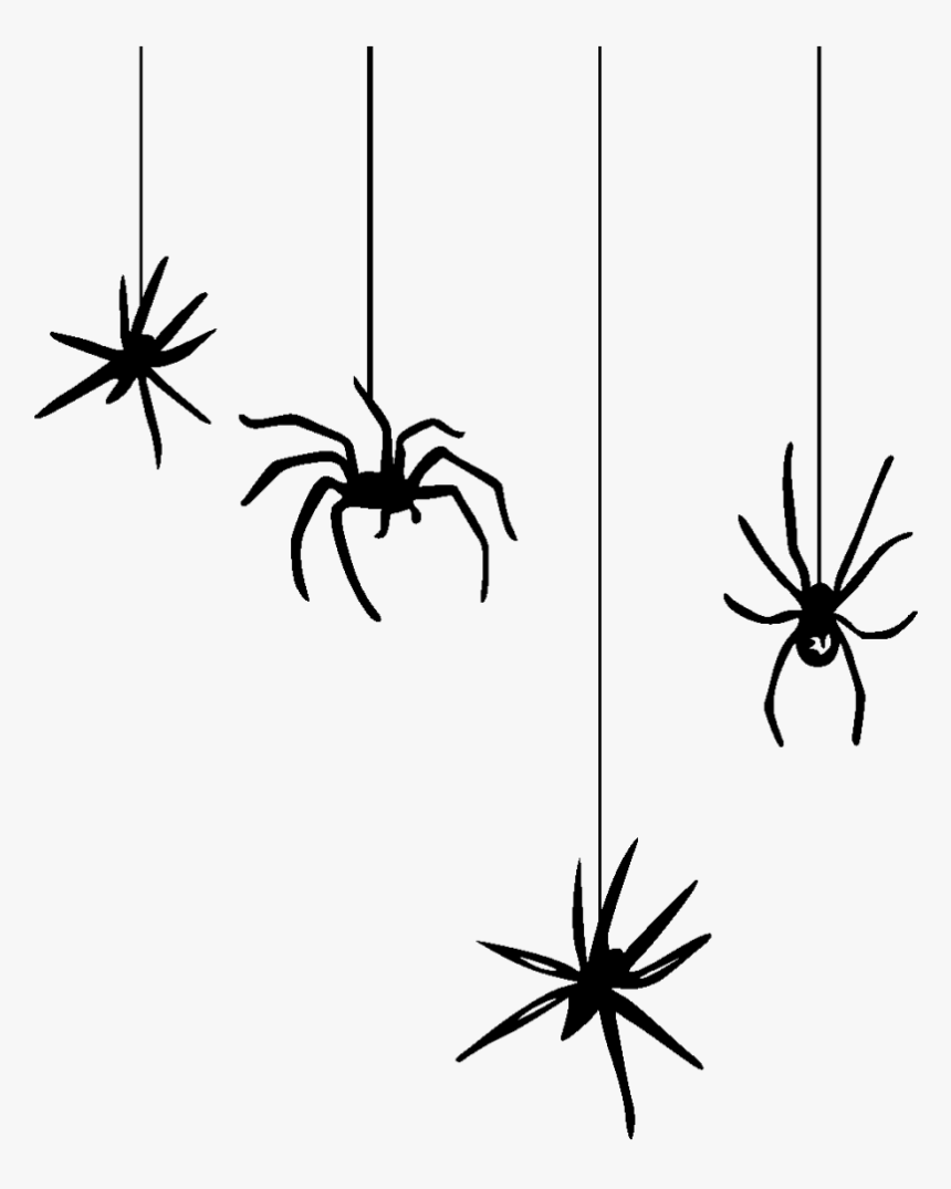 Hanging Spider Png - Spider Clipart, Transparent Png , Transparent Png ...