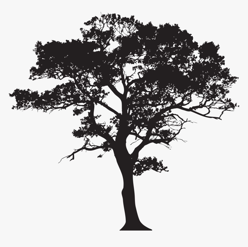 Deciduous Trees Png, Transparent Png , Transparent Png Image - PNGitem