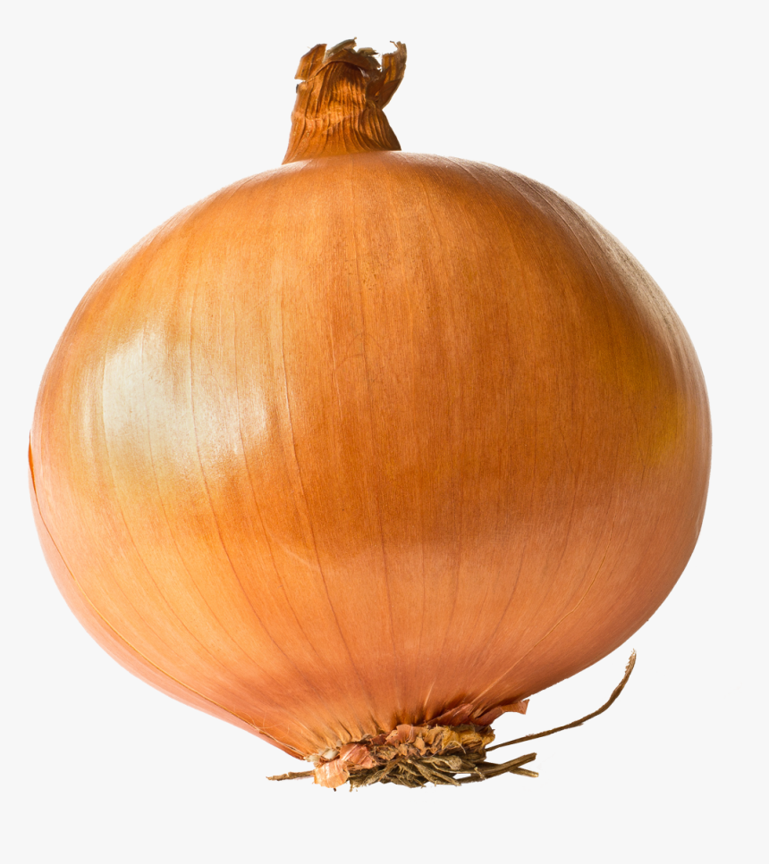 Onion Links - Onion One, HD Png Download , Transparent Png Image - PNGitem