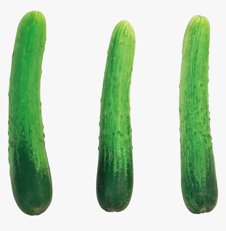 Cucumber Png, Transparent Png , Transparent Png Image - PNGitem