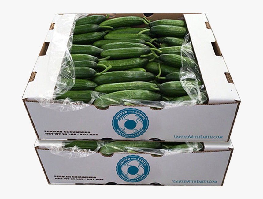 Picture - Cucumber Wholesale In Boxes, HD Png Download , Transparent ...