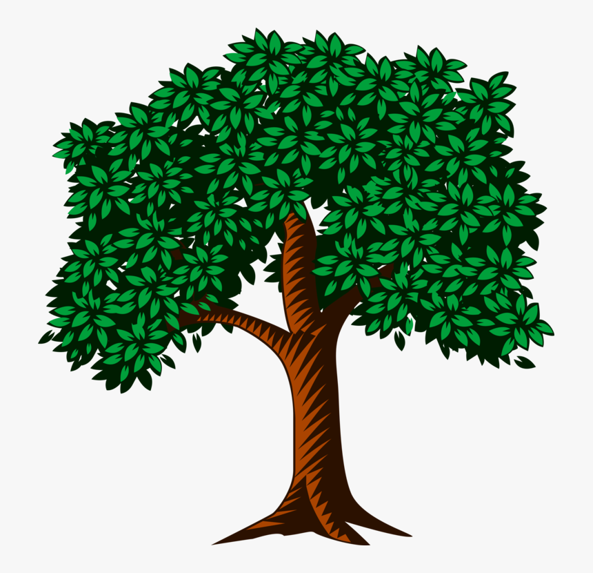 Tree Leaves Clipart