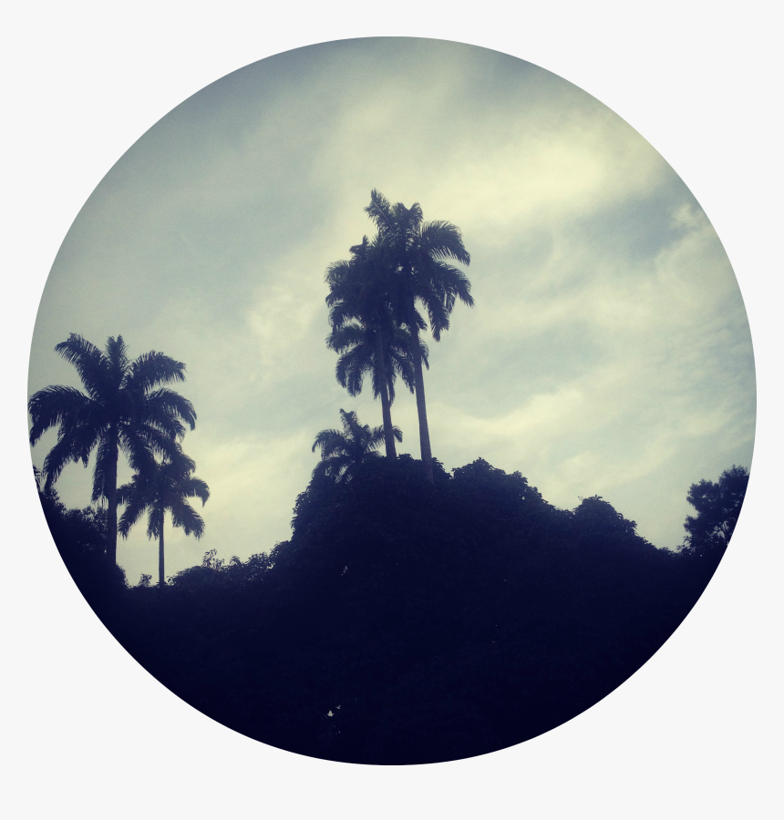 Circle Icons, HD Png Download , Transparent Png Image - PNGitem