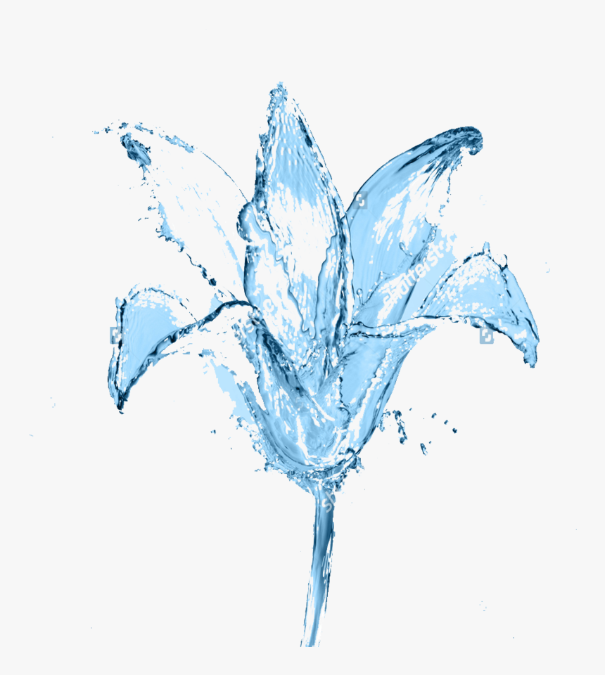 0 Picture, Flower In The Water - Waterflower Png, Transparent Png ...