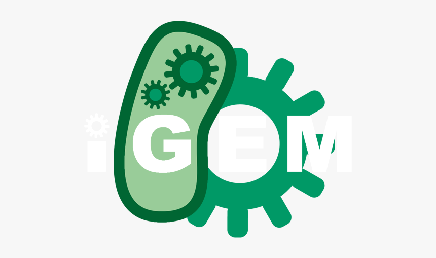 International Genetically Engineered Machine, HD Png Download ...